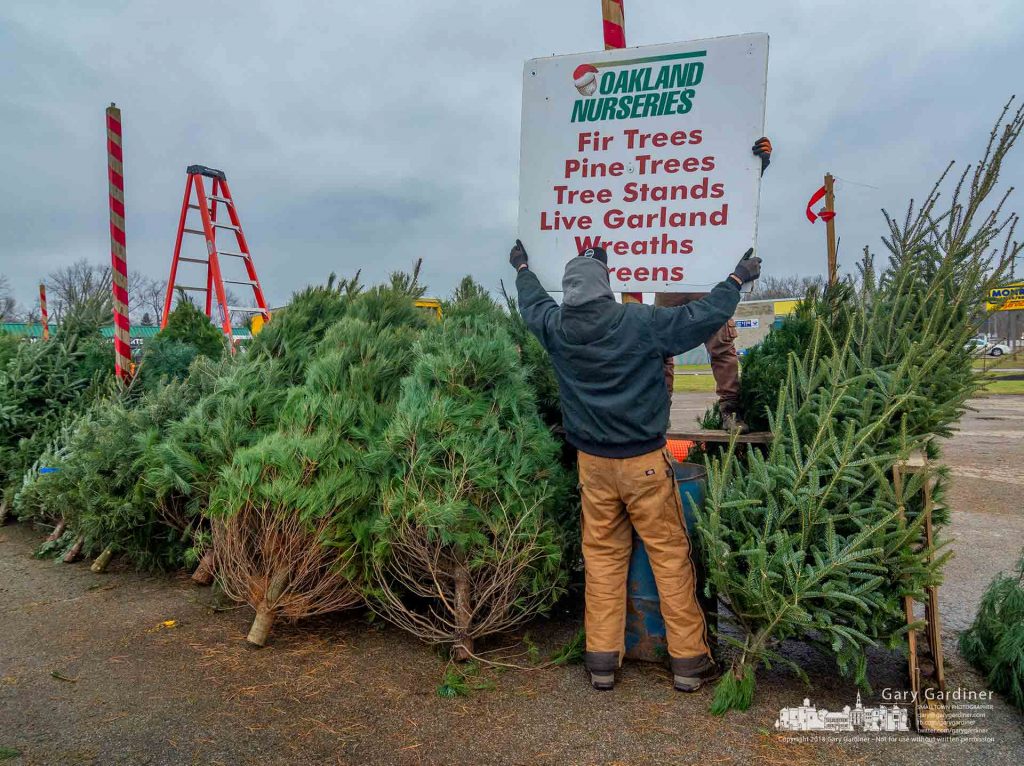 A Sign Christmas Is Over - My Final Photo
